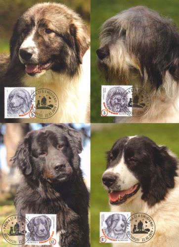 2019-Rase de caini romanesti. – Marry Stamps